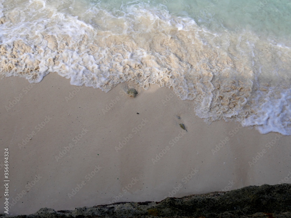 Small foaming waves gently pulling back to the ocean against the soft ...