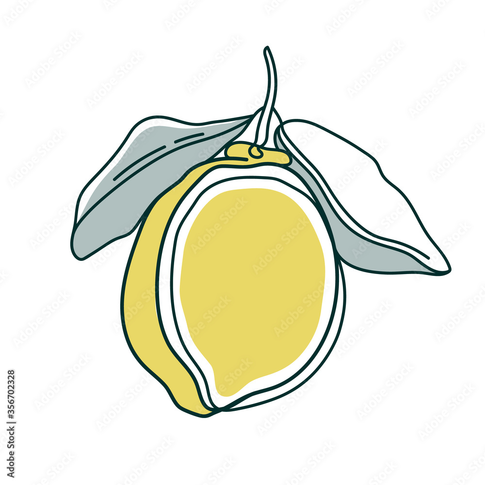 Line drawing lemon. Modern continuous line art, aesthetic contour ...