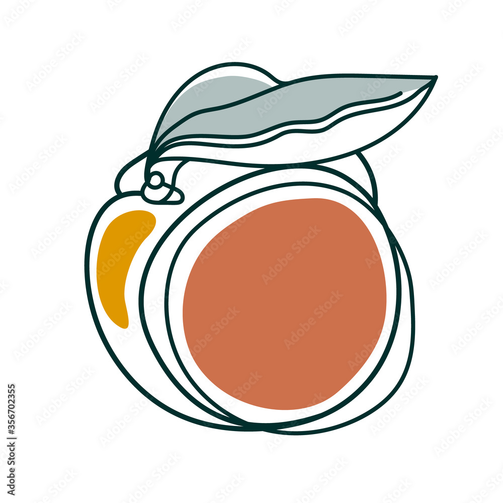 Line drawing peach. Modern continuous line art, aesthetic contour ...