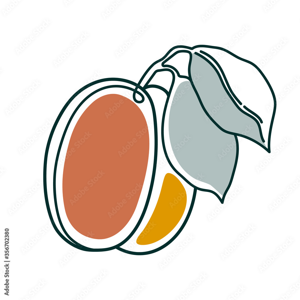 Line drawing apricot. Modern continuous line art, aesthetic contour ...