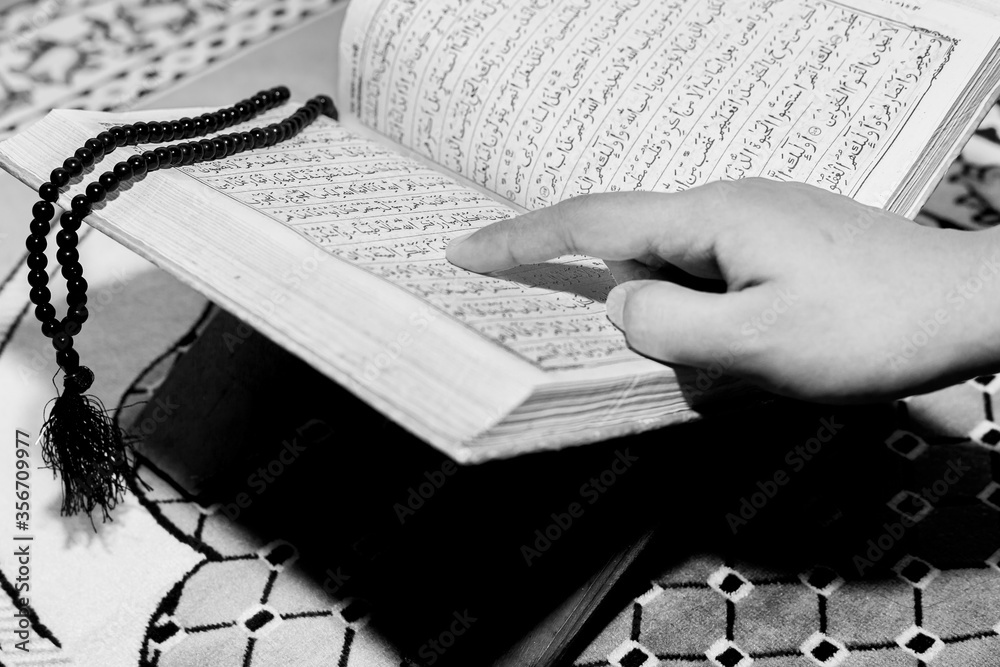Muslim woman reading the Holy Quran using the finger. The Holy Quran on ...