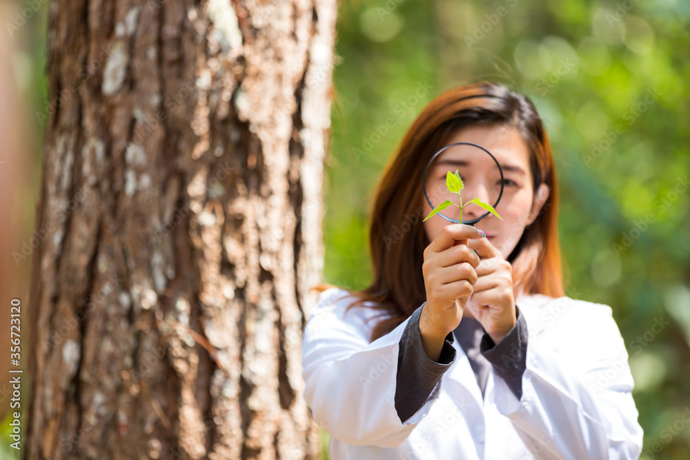 Scientists are studying plant species in the forest. female scientist ...