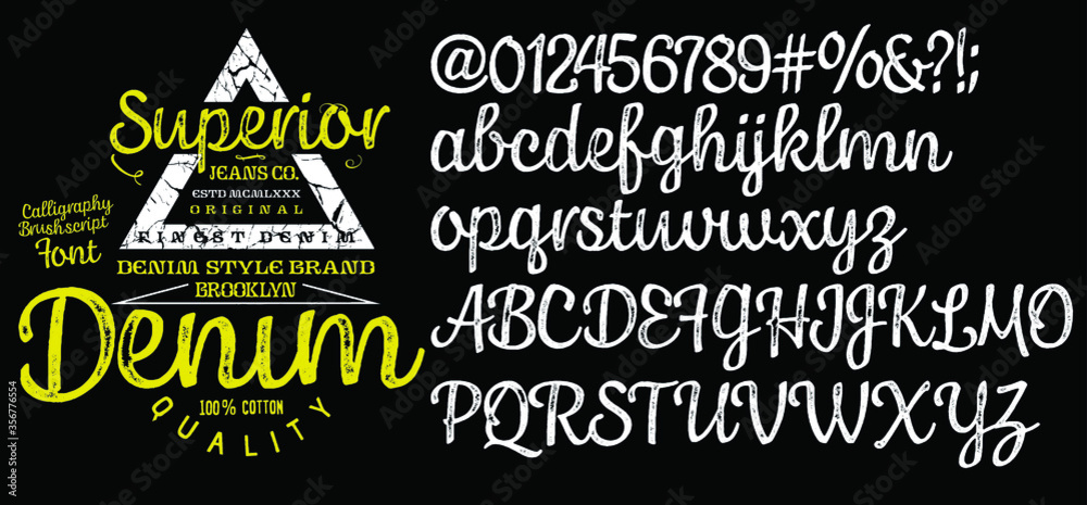 Vintage brush script lettering font. Handwritten calligraphic alphabet ...