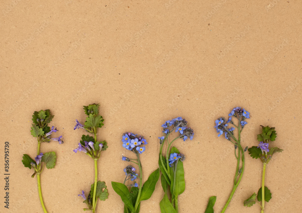 Tender Forget me not, blue lamium on e natural brown craft paper ...