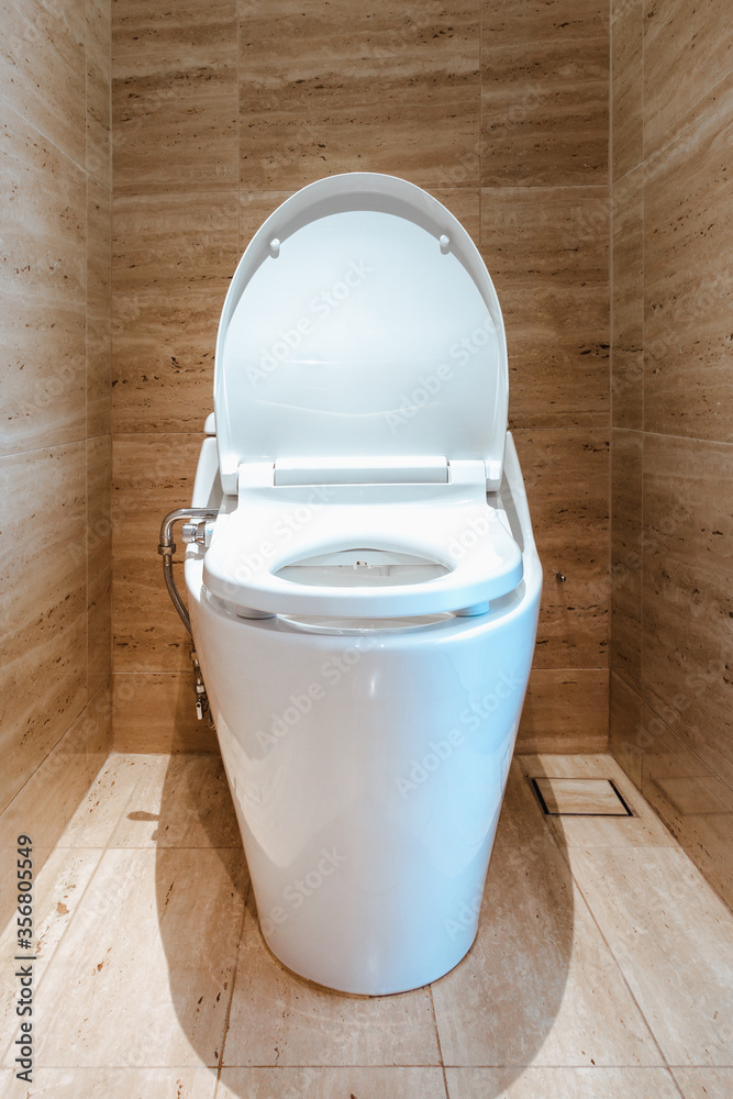 Toilet Flush Bowl and Interior Modern Architecture of Resting Room and ...