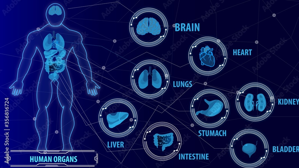 16:9 hud interface,futurastic human body,hud biology elelemt,Display ...