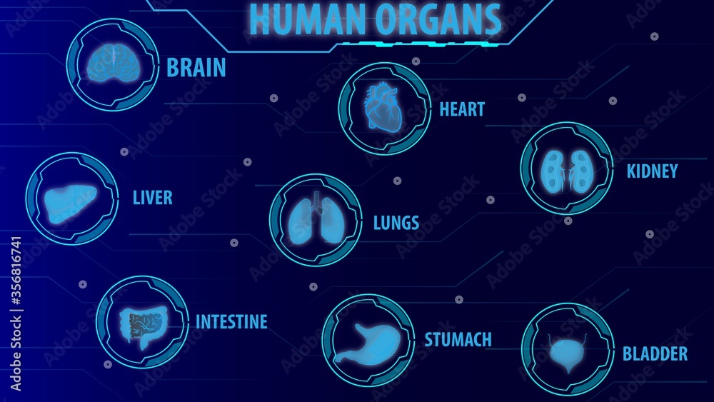 16:9 hud interface,futuristic human body,hud biology elelemt,Display ...
