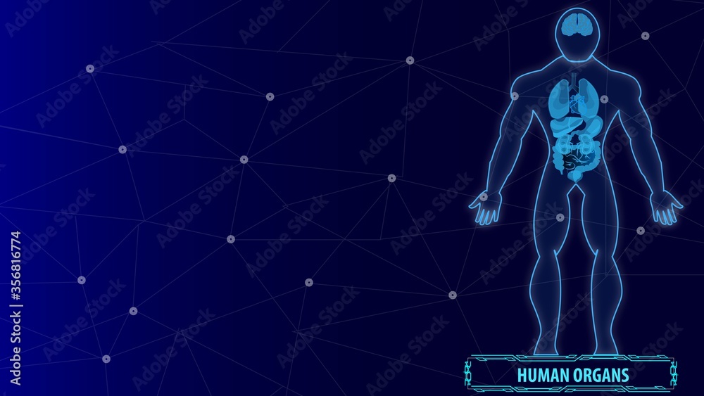 16:9 hud interface,futurastic human body,hud biology elelemt,Display ...