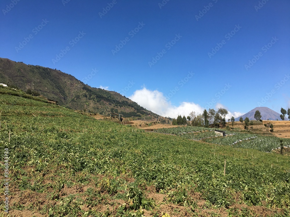 Scenery at Gunung Prau Dieng / Prau Mountain in Dieng. Mount Prau is ...