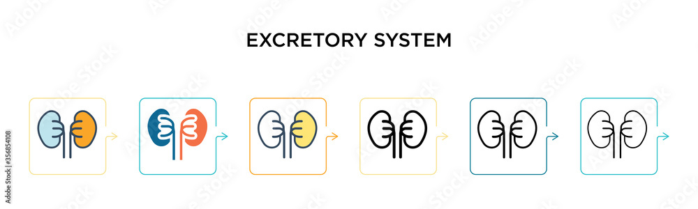 Excretory system vector icon in 6 different modern styles. Black, two ...