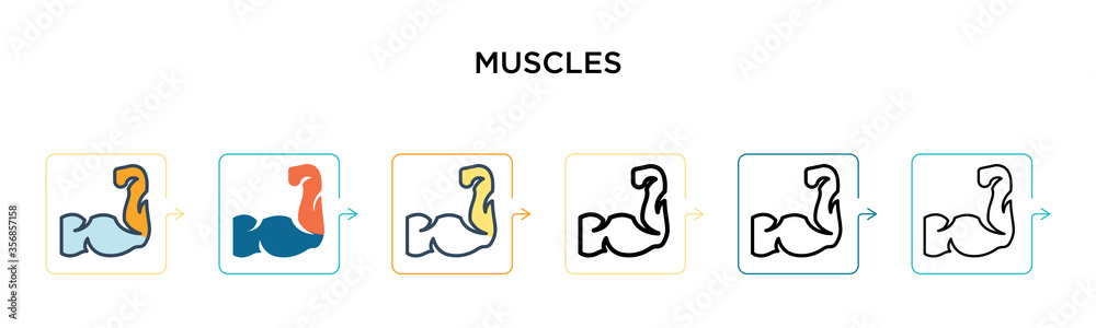 Muscles vector icon in 6 different modern styles. Black, two colored ...