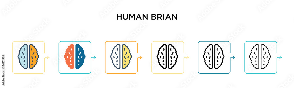 Human brian vector icon in 6 different modern styles. Black, two ...
