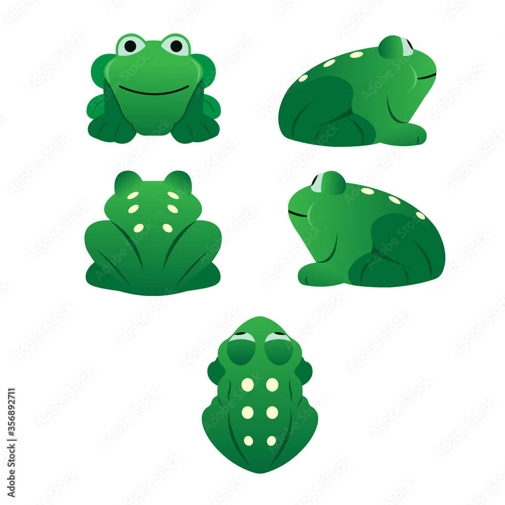 Collection of green frogs top view, front, left, right and back set ...