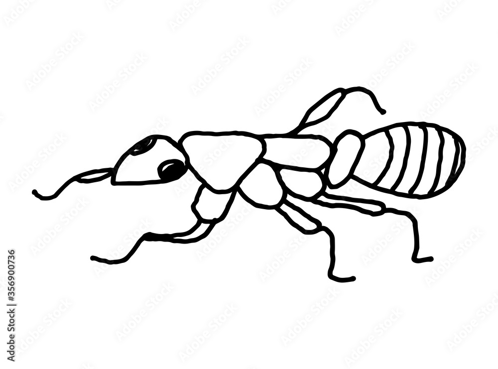 Hand drawn ant in doodle style isolated on white background. Vector ...