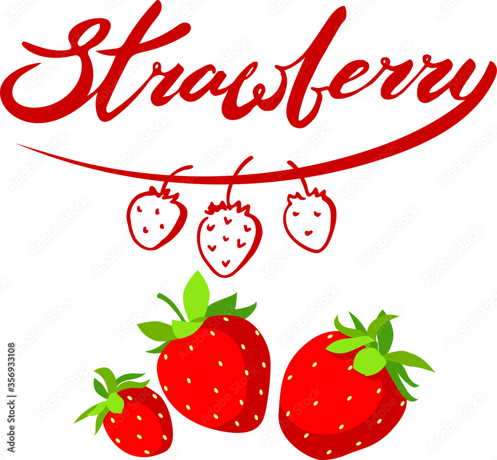 Vector set of hand written lettering of word strawberry and some ...