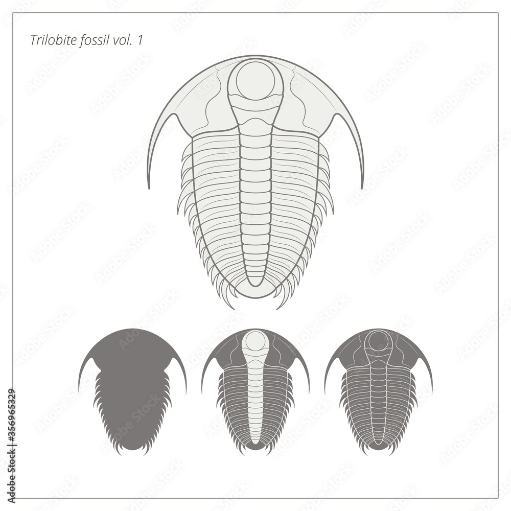Simple Trilobite Drawing