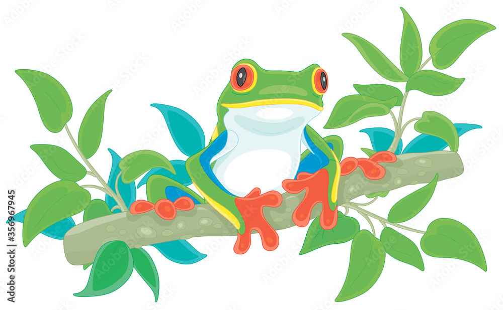 Funny colorful and poisonous tree frog sitting on a green branch in a ...