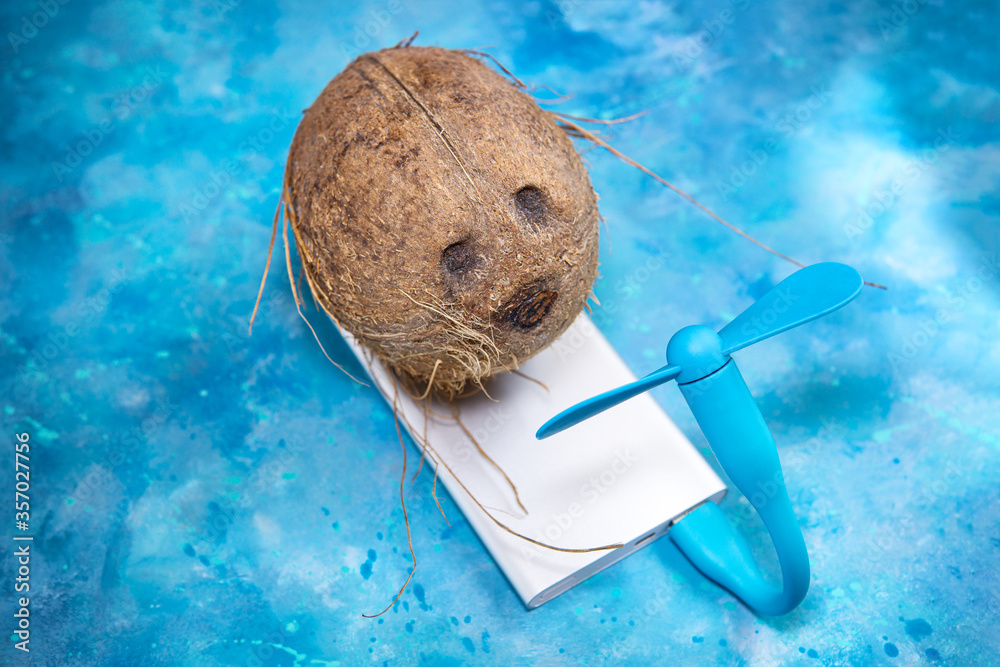 Coconut is cooling off in front of a portable fan powered by a mobile ...