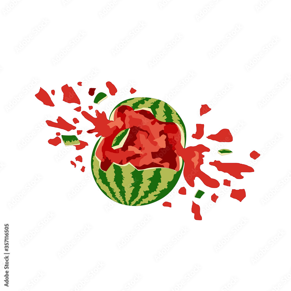Broken crashed smashed watermelon on white background. Vector cracked ...