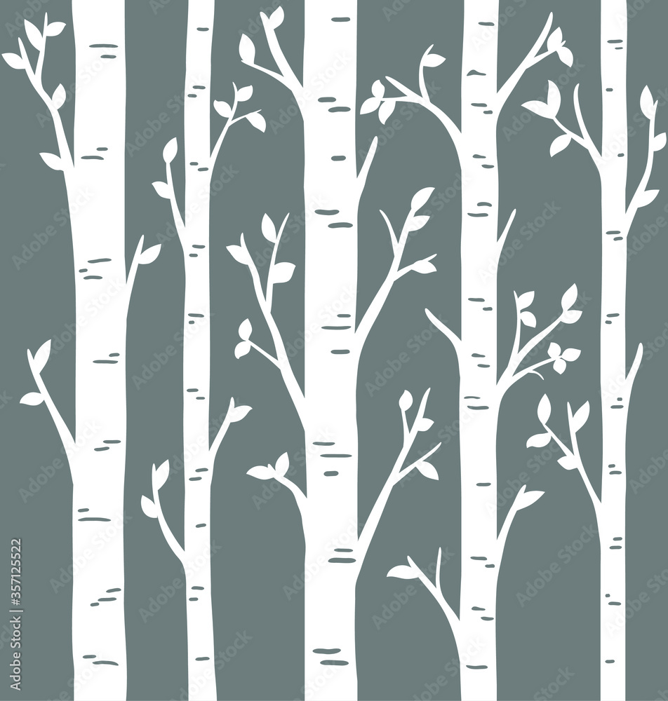 Birch grove background for your design. Vector birch or aspen trees ...