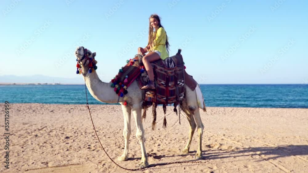 Egypt tourism with camel riding back. Girl on oont trip beach ...