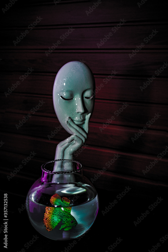 cute fish in the glass cube Stock Photo | Adobe Stock