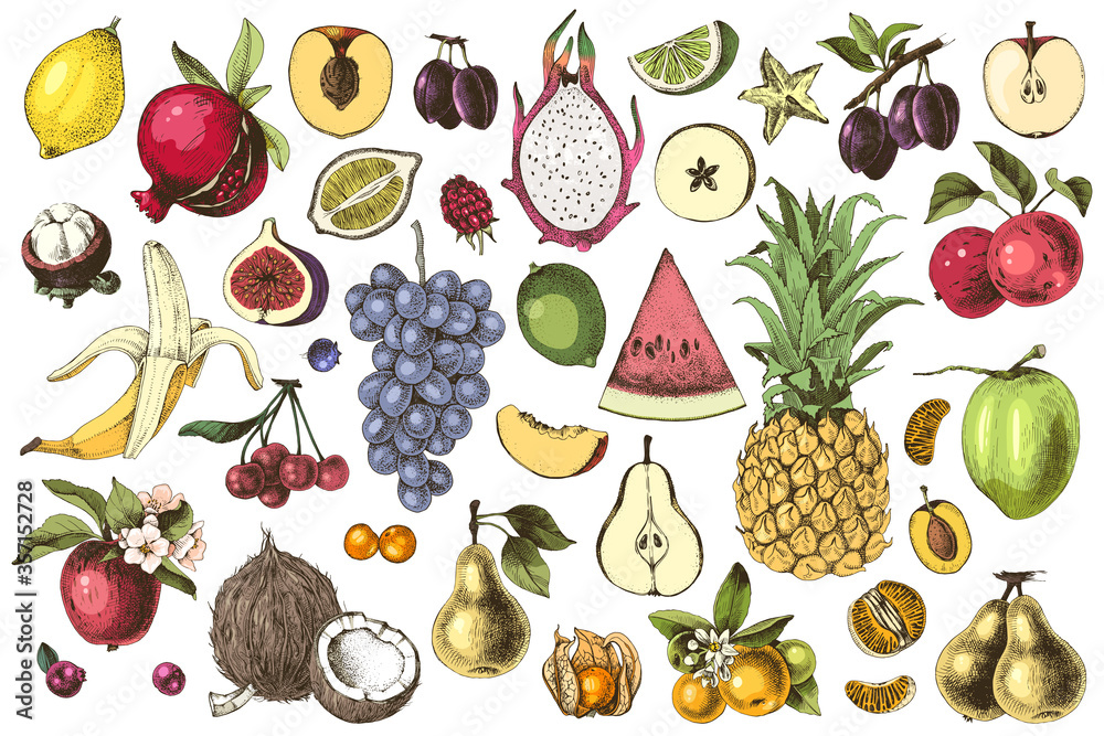 Hand drawn colorful fruits set Stock Vector | Adobe Stock
