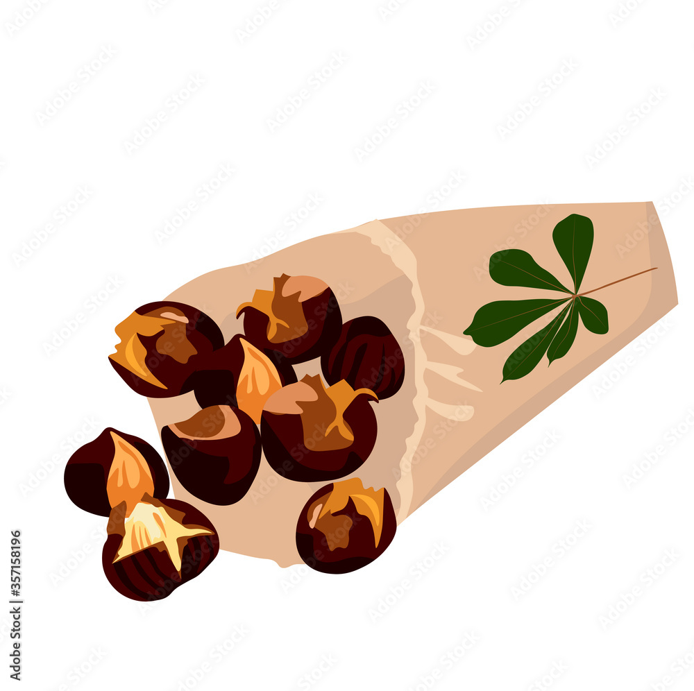 Vector stock illustration of a roasted chestnut. Hot, sliced nuts in a ...