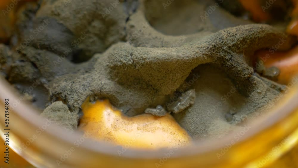 Video „MACRO, DOF: Detailed view of the brown mold on the surface of an ...
