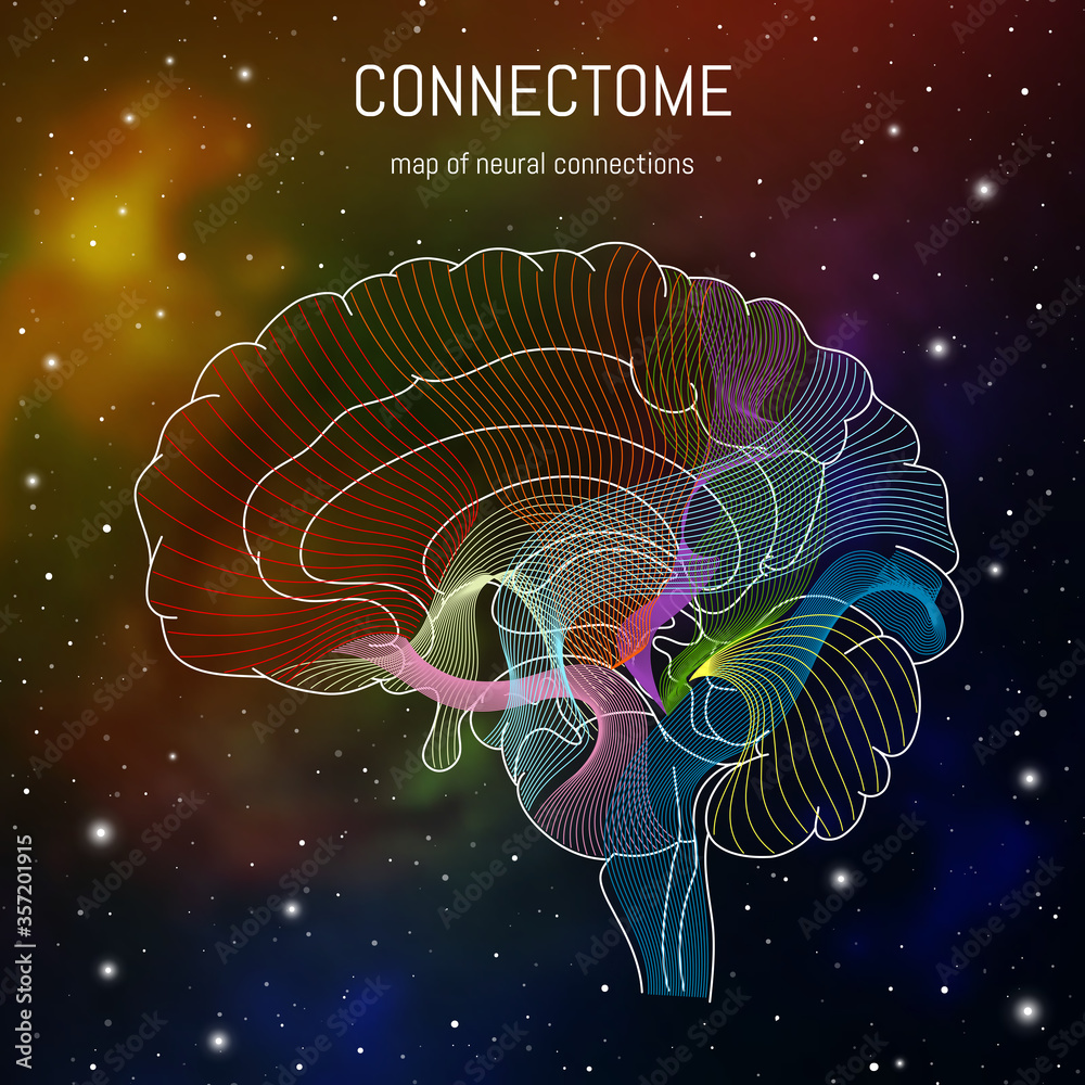Stockvector Neuroscience infographic on space background. Brain cells ...