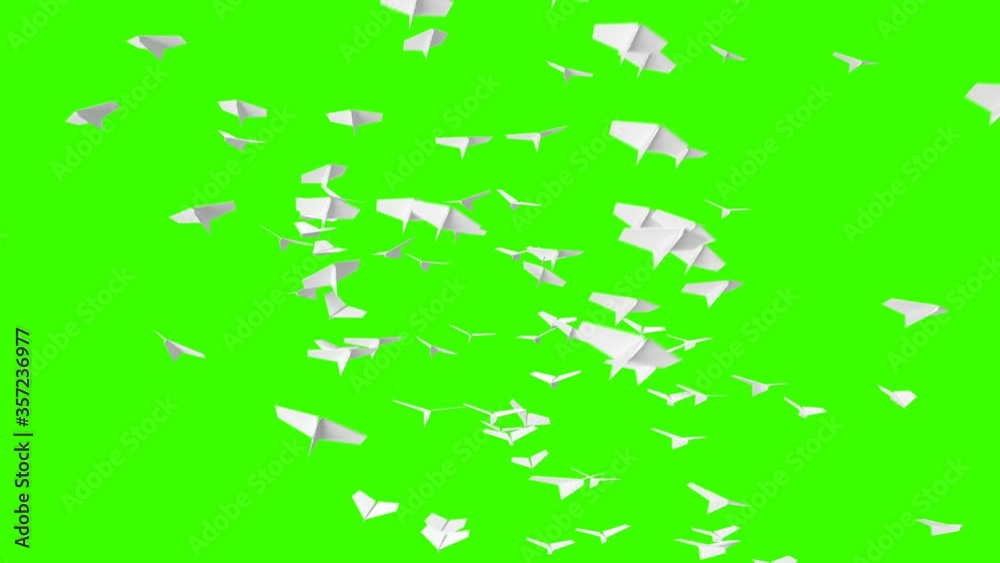 Paper Planes Fly to the Camera on a Green Background, Two 3d Animations ...