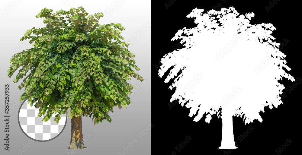 Cut out green tree isolated on transparent background via an alpha ...