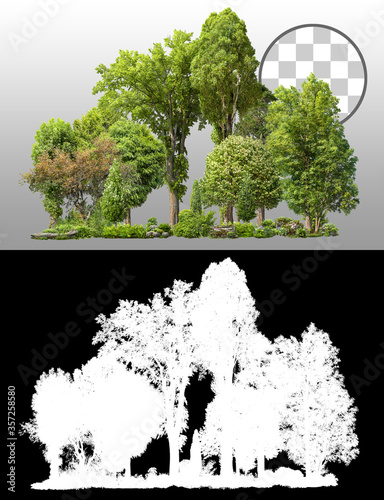 Cutout tree line. Forest and green foliage in summer. Row of trees and ...