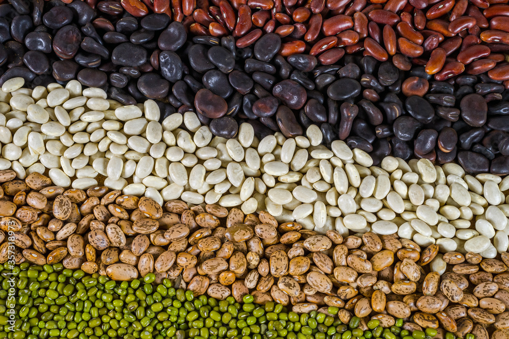Collage of different types of beans. Varieties of beans. Closeup ...