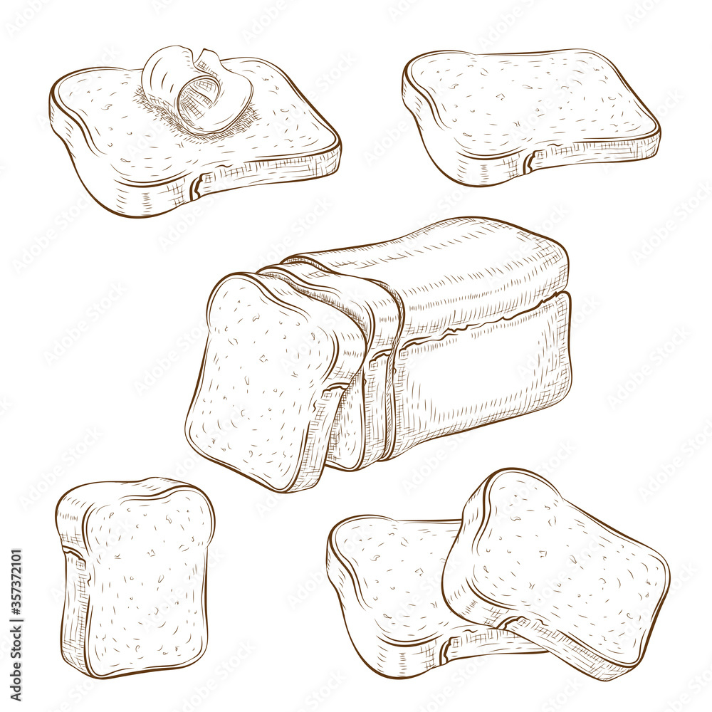 set of drawn sliced bread and toasts illustration isolated on white ...