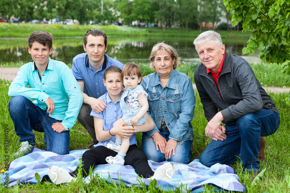 Six people family portrait at weekend picnic, senior grandparents ...