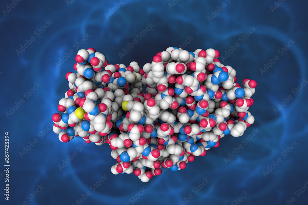 Space-filling molecular model of human pepsin 3b. Scientific background ...