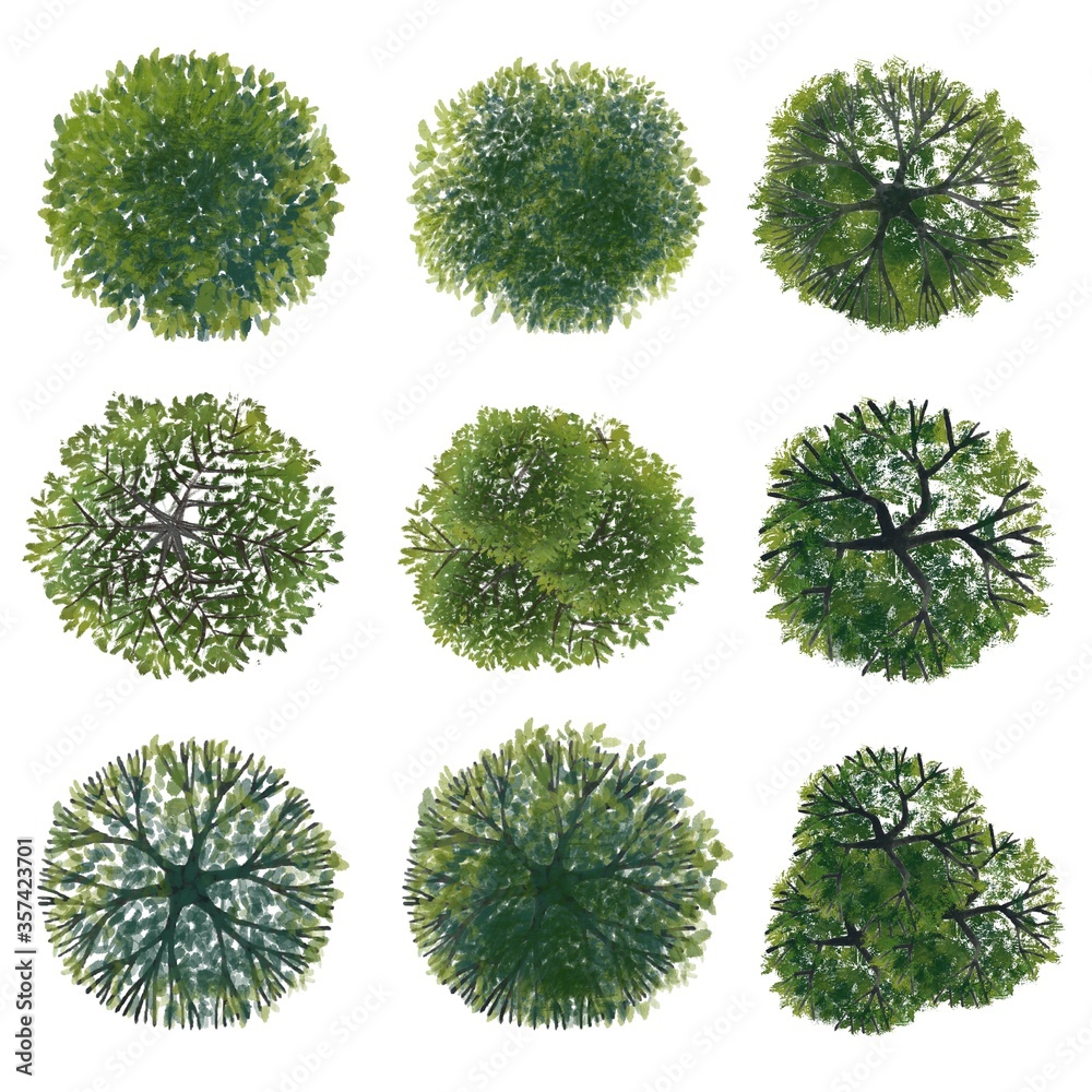 Set of watercolor tree top view for landscape plan and architecture ...