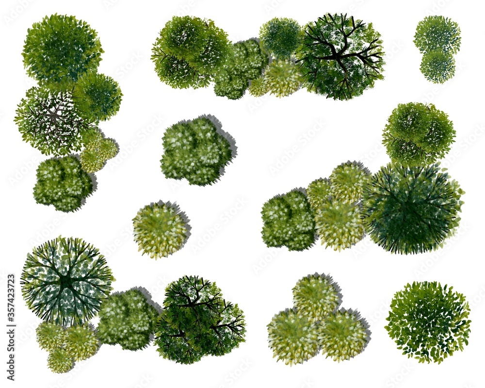 Architectural Watercolor Trees Top View