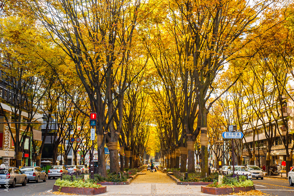 Jozenji-dori Avenue in Sendai, Japan. Sendai is known as "The City of ...
