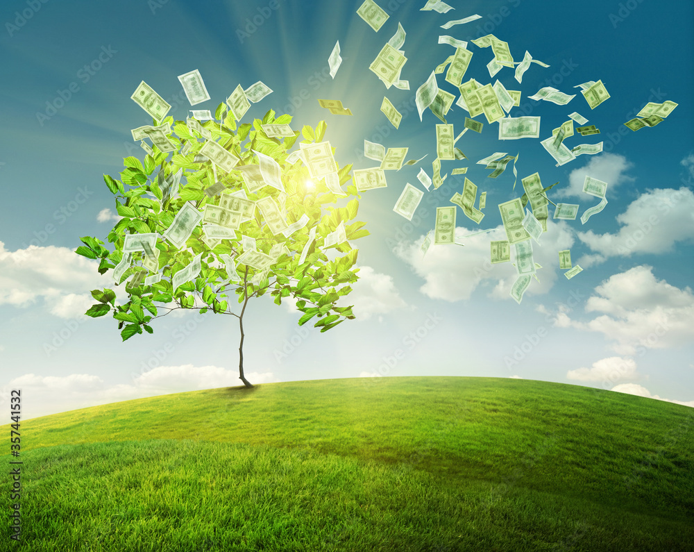 money tree concept illustration of investment, small tree with dollar ...
