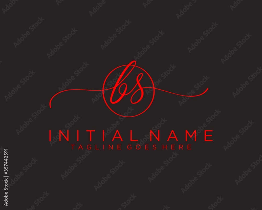 Initial B S handwriting logo vector. Hand lettering for designs Stock ...