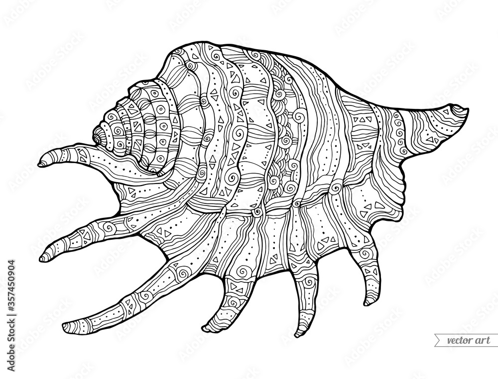 Seashell isolated. Vector illustration. Zentangle. Coloring book page ...