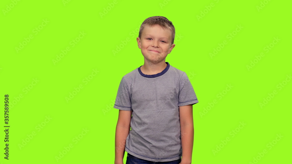 Portrait of smiling little boy posing on green screen background ...