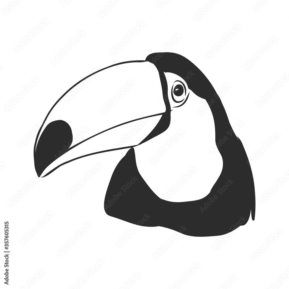 toucan hand drawn vector llustration realistic sketch, Toucan bird ...