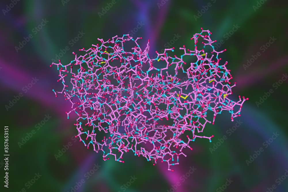 Molecular structure of human pepsin 3b, one of the enzymes that digest ...