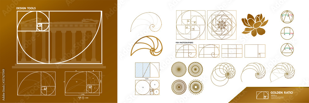Golden ratio for creative design vector illustration. Stock Vector ...
