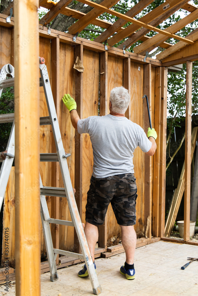 Demolition phase with a man tearing down an old shed in a backyard that ...