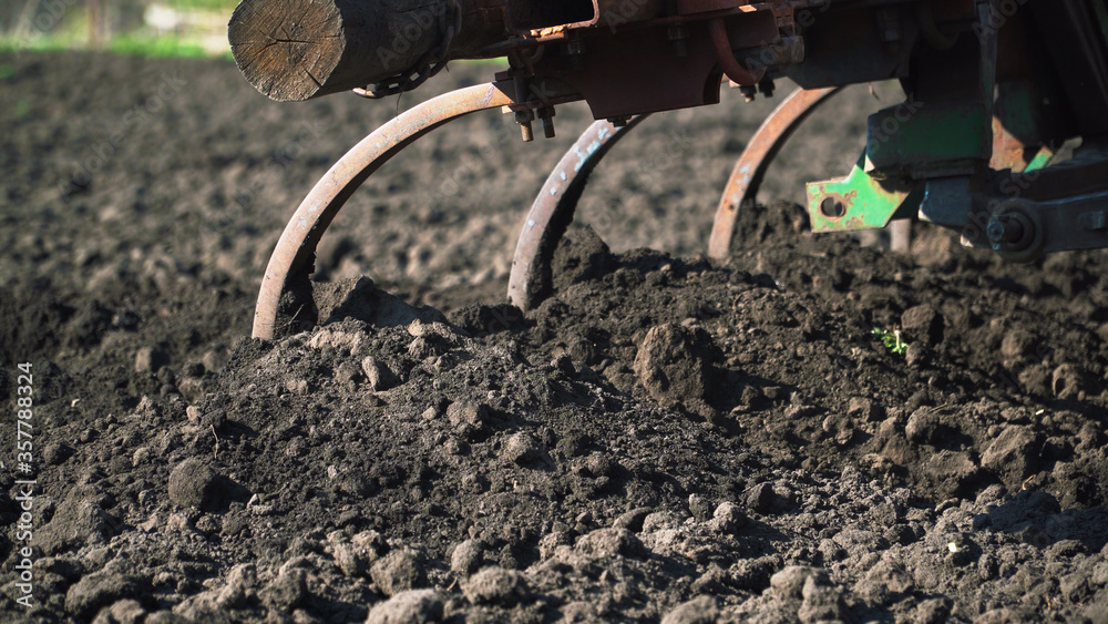 The tractor cultivates and cuts furrows in the field. Tractor work in ...