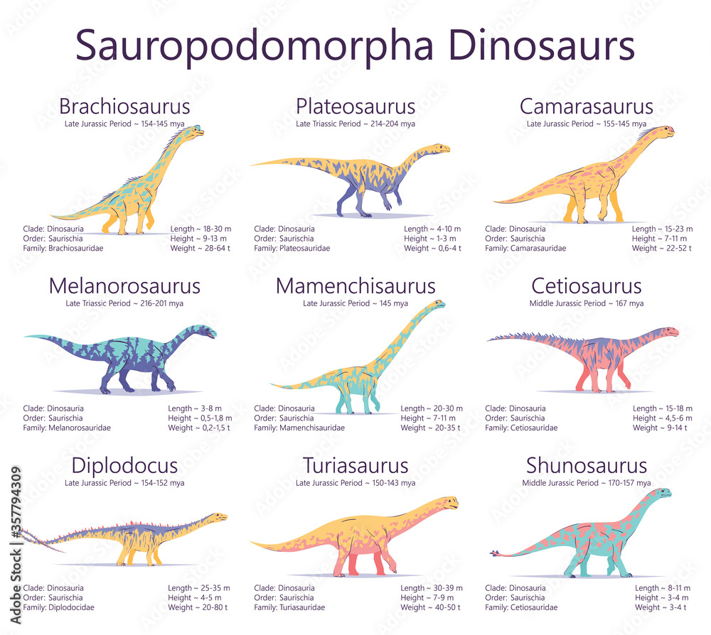 Vecteur Stock Sauropodomorpha dinosaurs. Colorful vector illustration ...